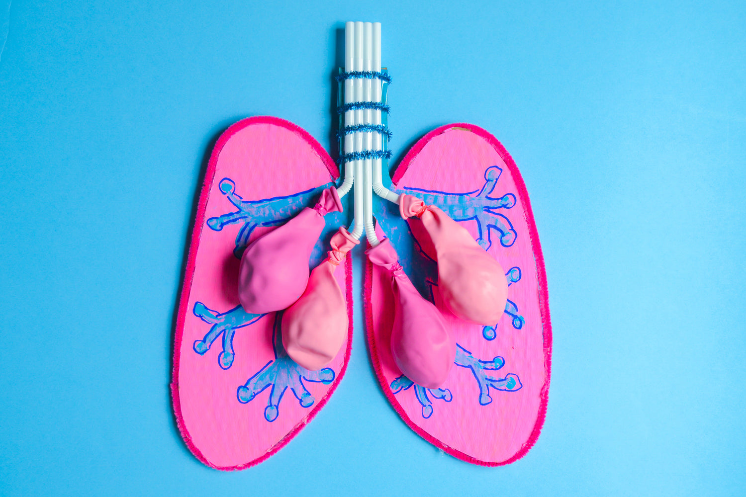 Learn How Your Lungs Work – Kid Made Modern