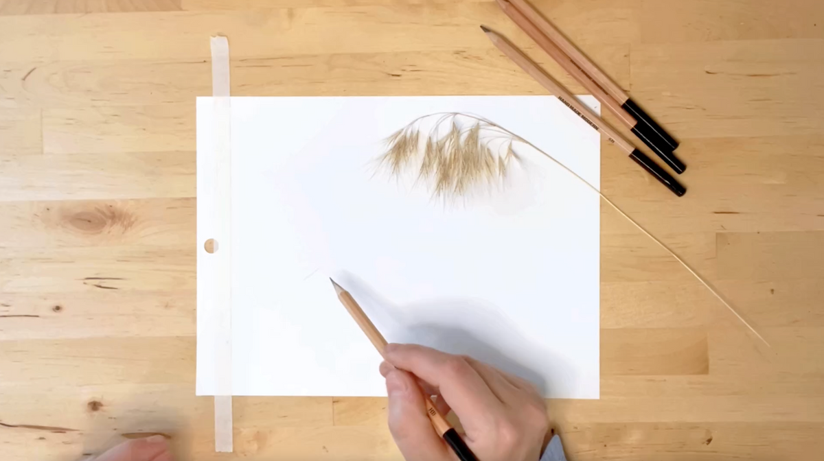 Nature Drawing Tutorial – Kid Made Modern